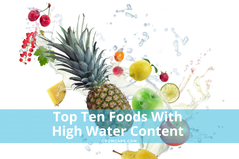 Top 10 Foods with High Water Content